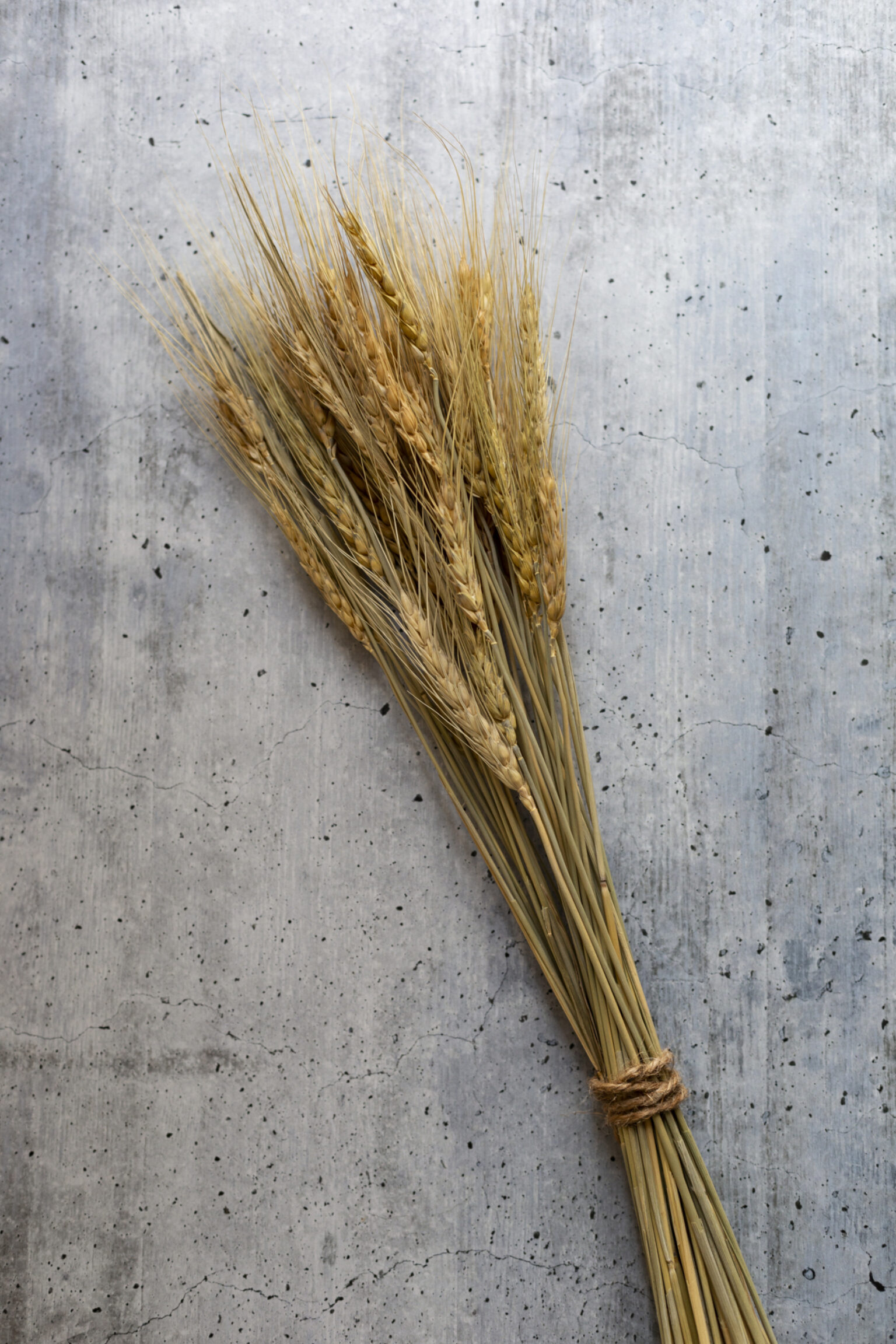 Portofino Bakery | Home